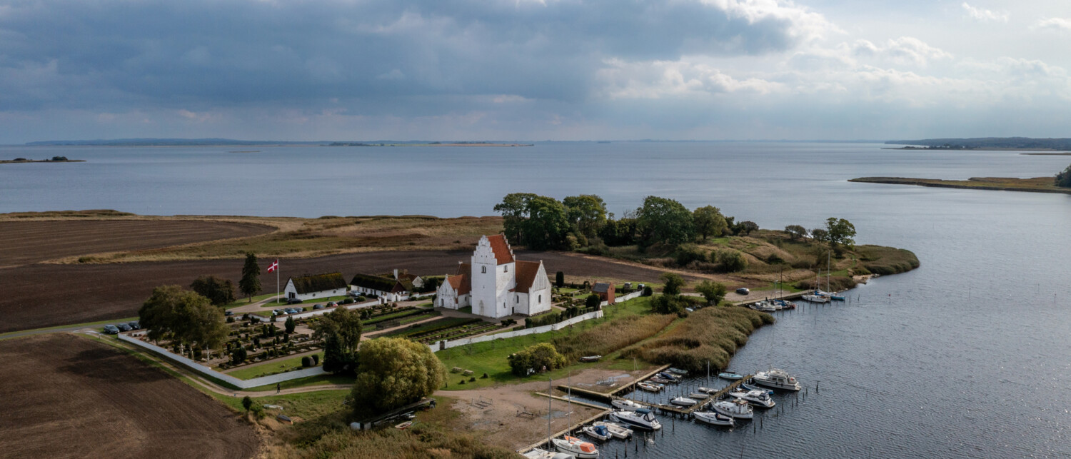 Skov- og naturprojekter | Folkekirkens Grønne Omstilling